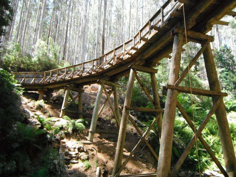 Take a walk back in time | Country News