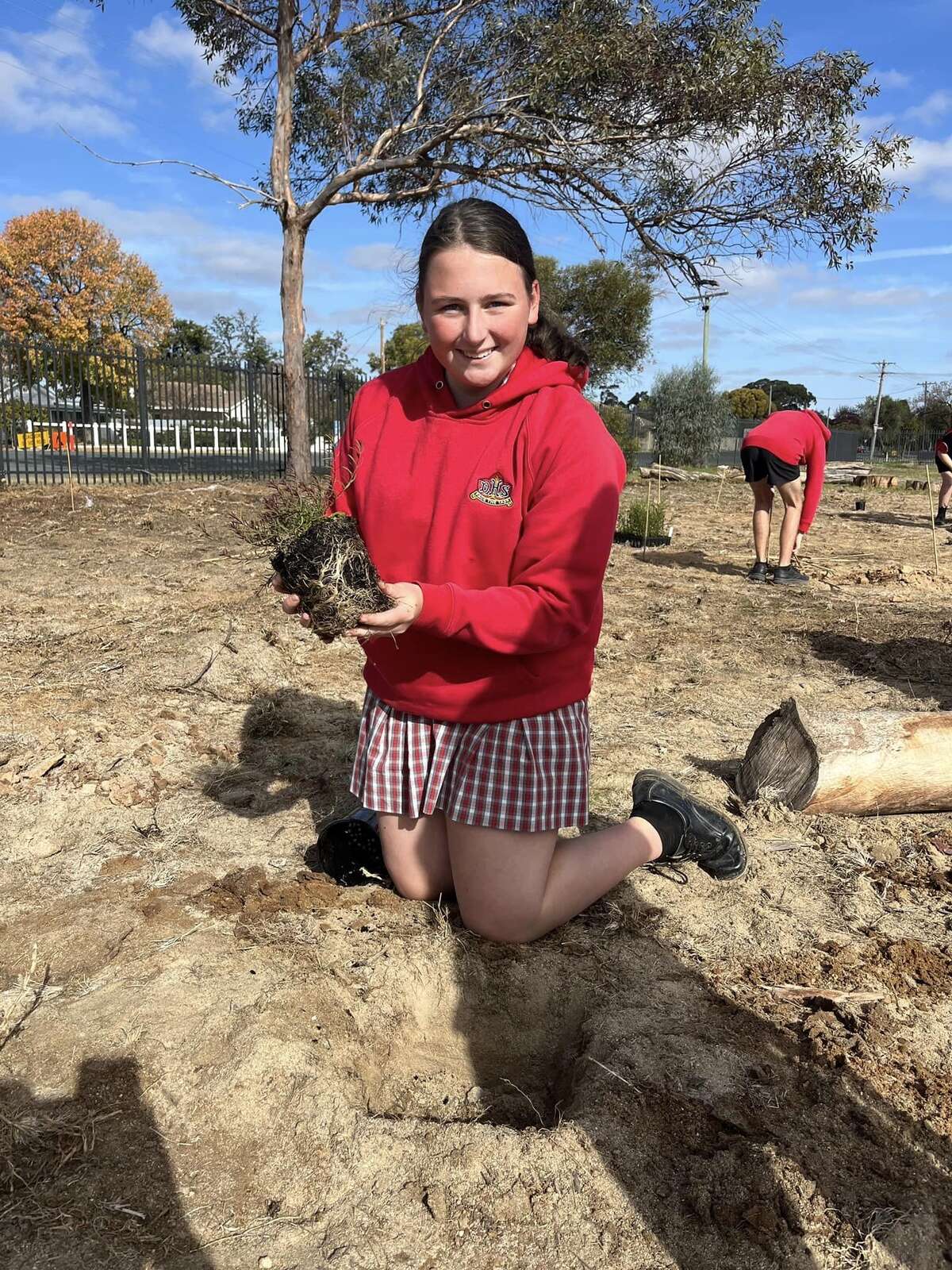 New native garden at DHS | Shepparton News