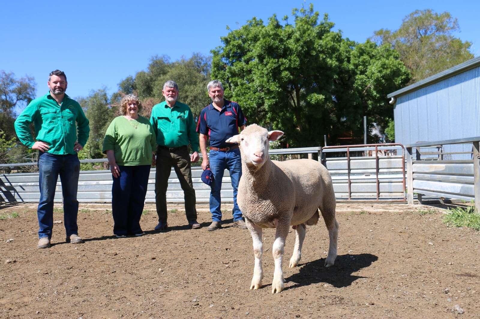 Pepperton sale record | Dairy News Australia