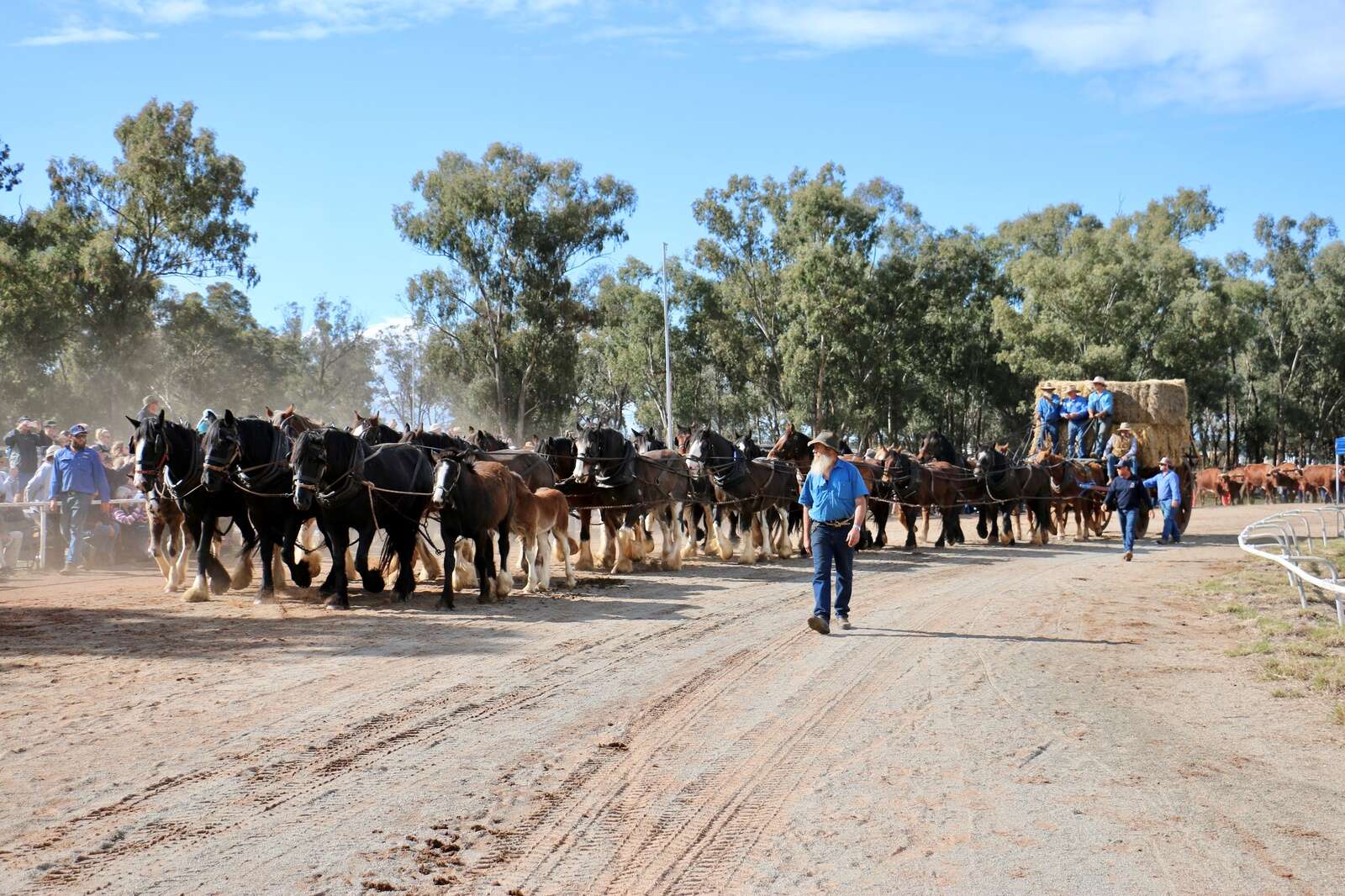 A nod to our pioneering past | Riverine Herald