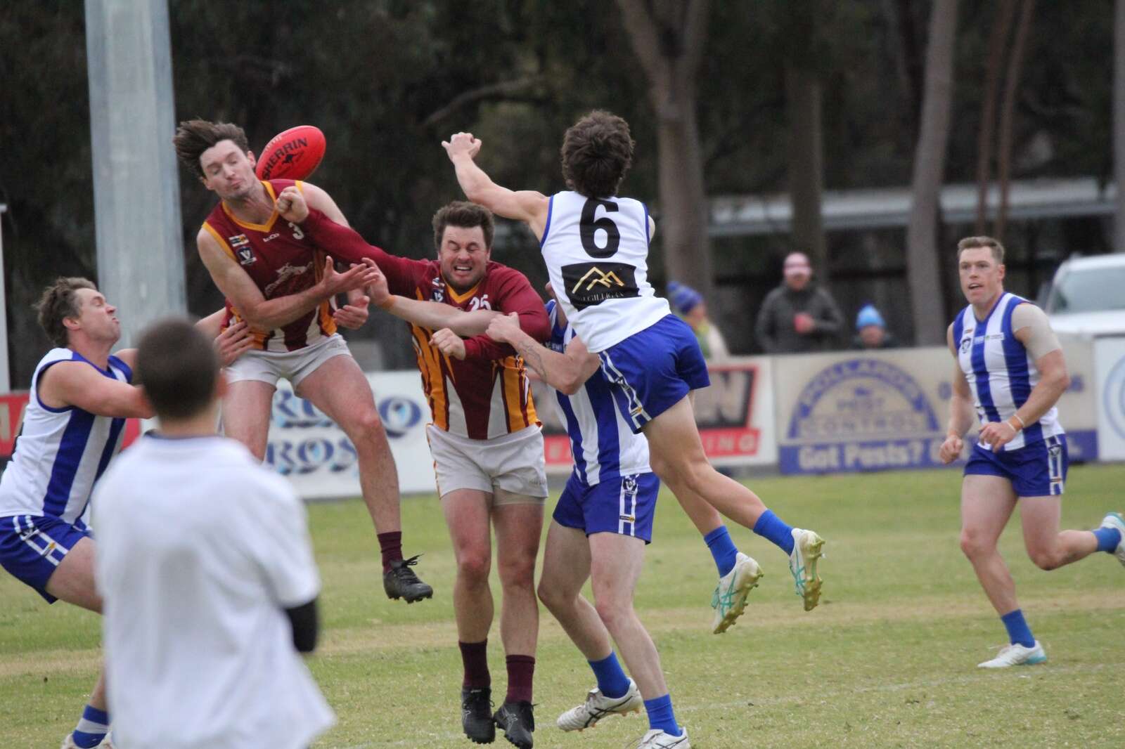 Bears drop Rovers | Deniliquin Pastoral Times