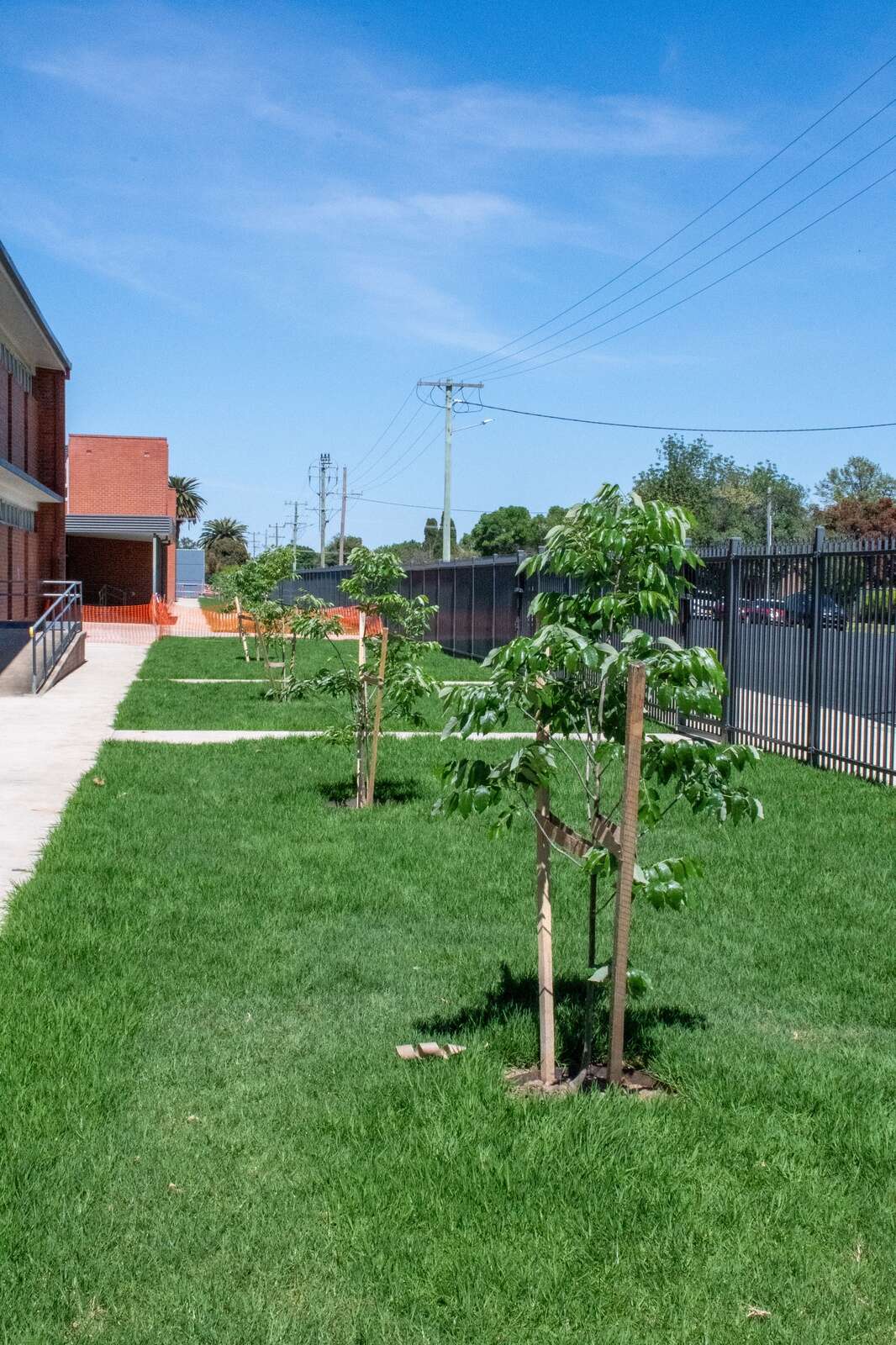 Deni High school beautification | Benalla Ensign