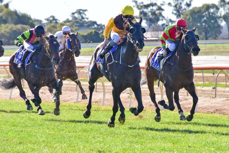First, last and everything in between at the Echuca races | Shepparton News