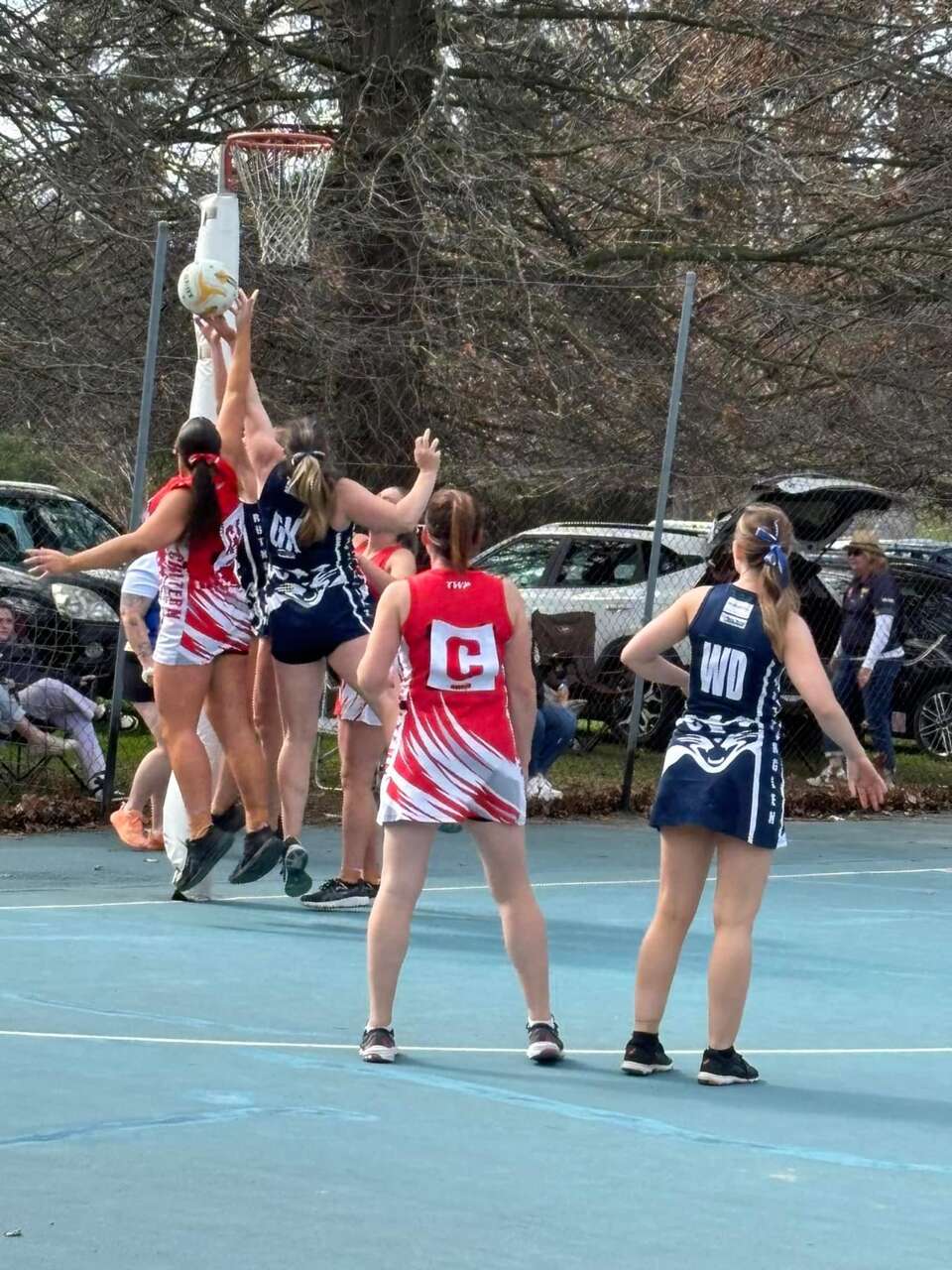 Two Cats teams to play in prelims | Corowa Free Press