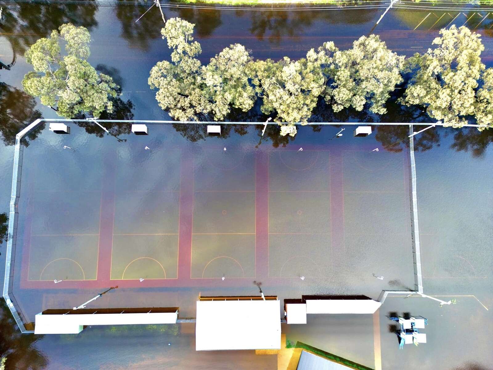 DNA and Rhinos impacted by flooding | Shepparton News