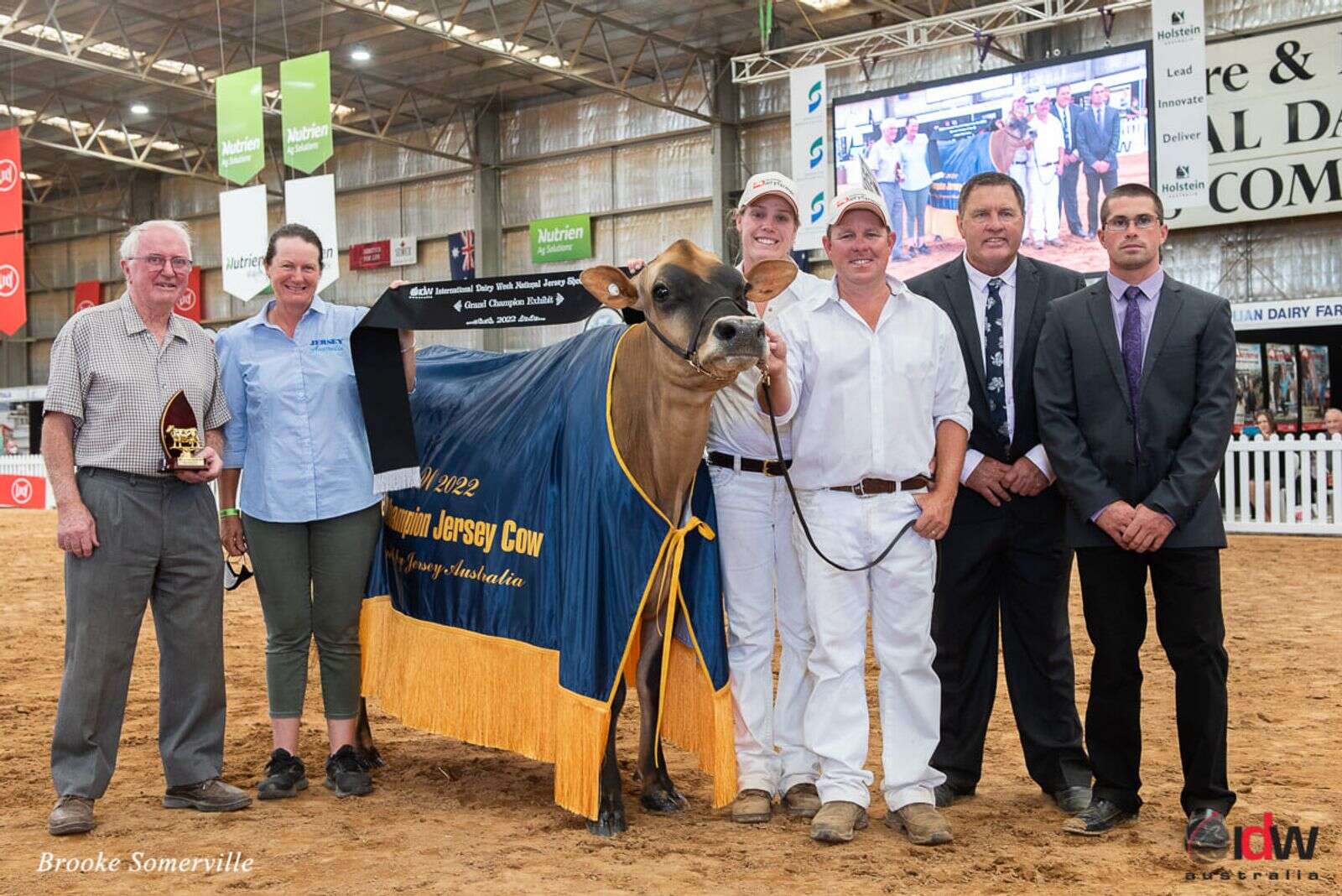 Walsh's champion Dairy Week cow | Shepparton News