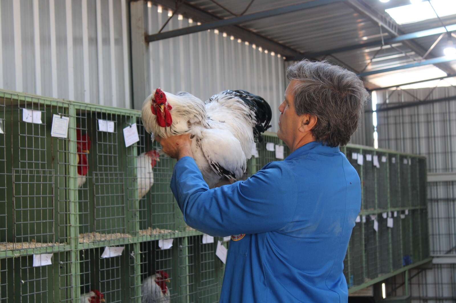 Lawrence family double in poultry | Dairy News Australia