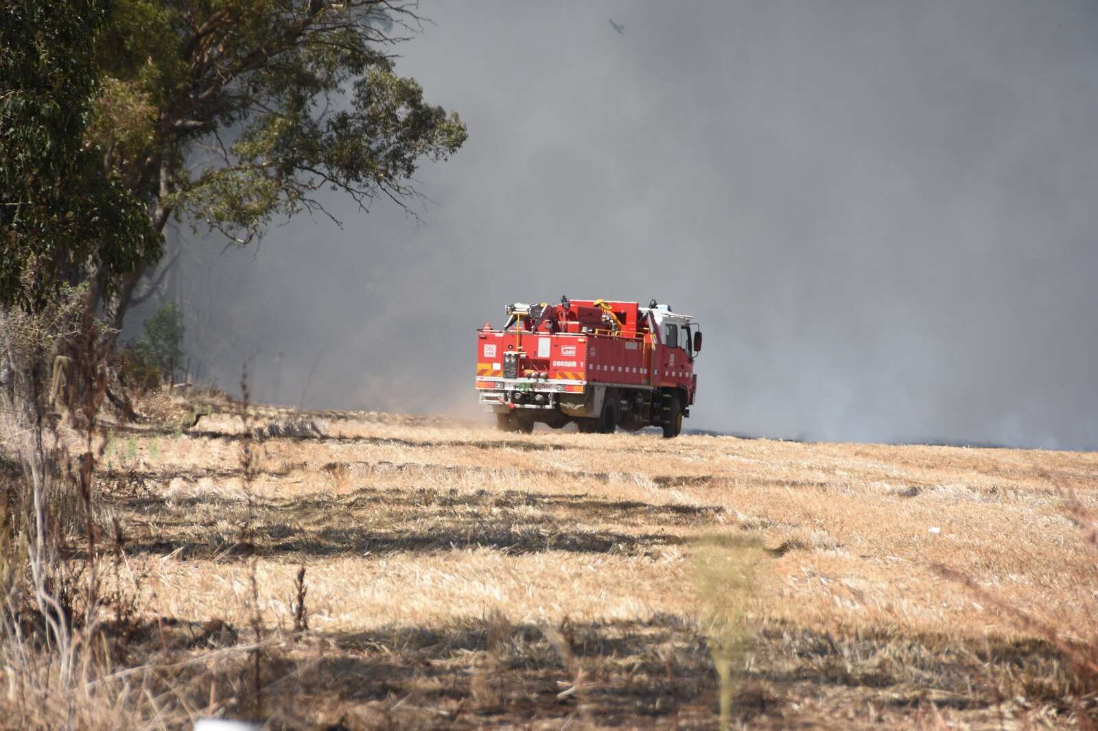 CFA resdpond to paddock fire near Cobram | Cobram Courier