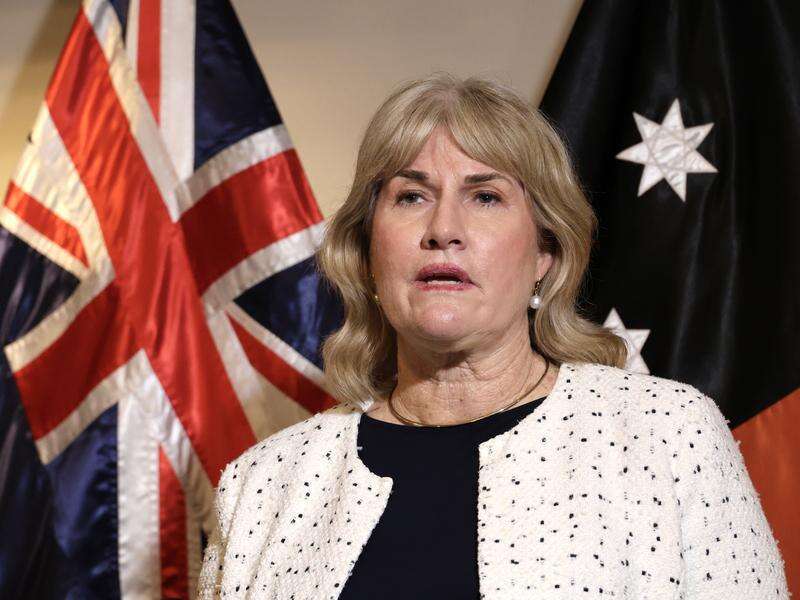 Middle Arm project to realise NT's dreams, says chief | Country News