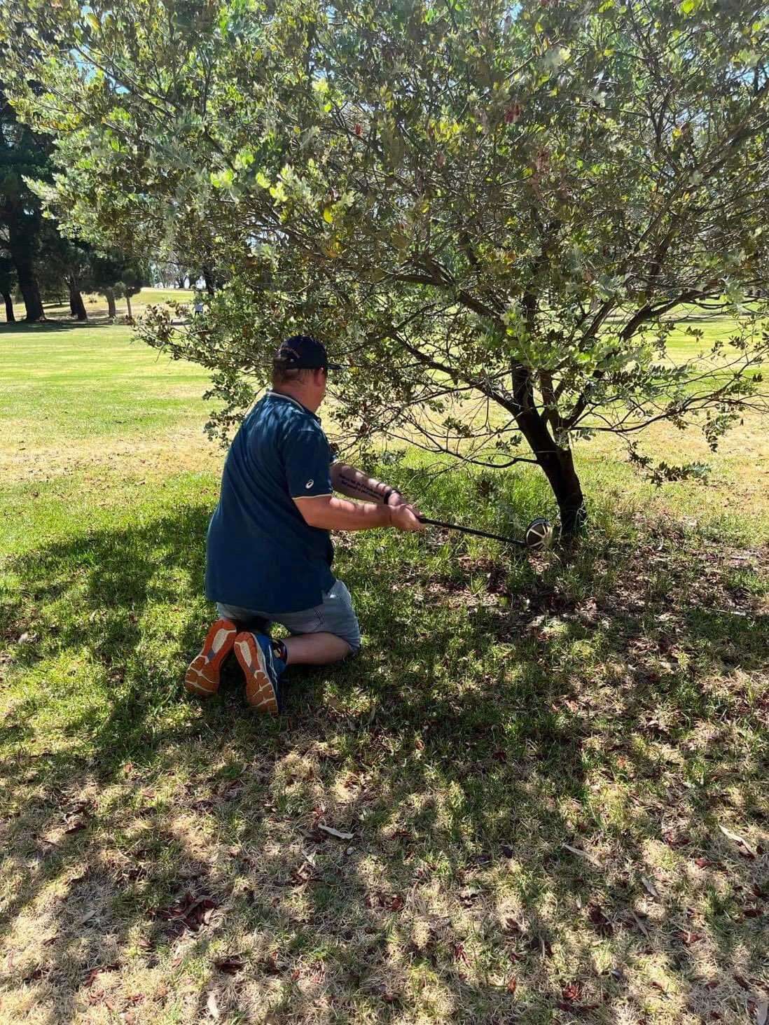 Searching for shade on a hot day | Shepparton News