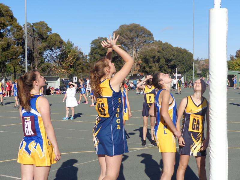 EDNA returns for the 2020 season | Riverine Herald