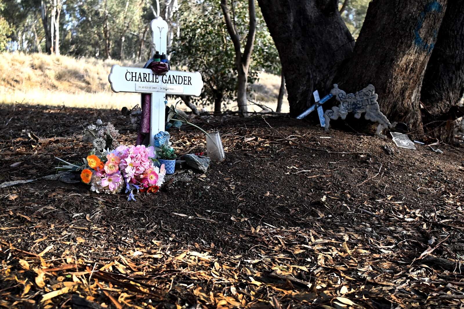 Murder trial jury reaches verdict | Cobram Courier