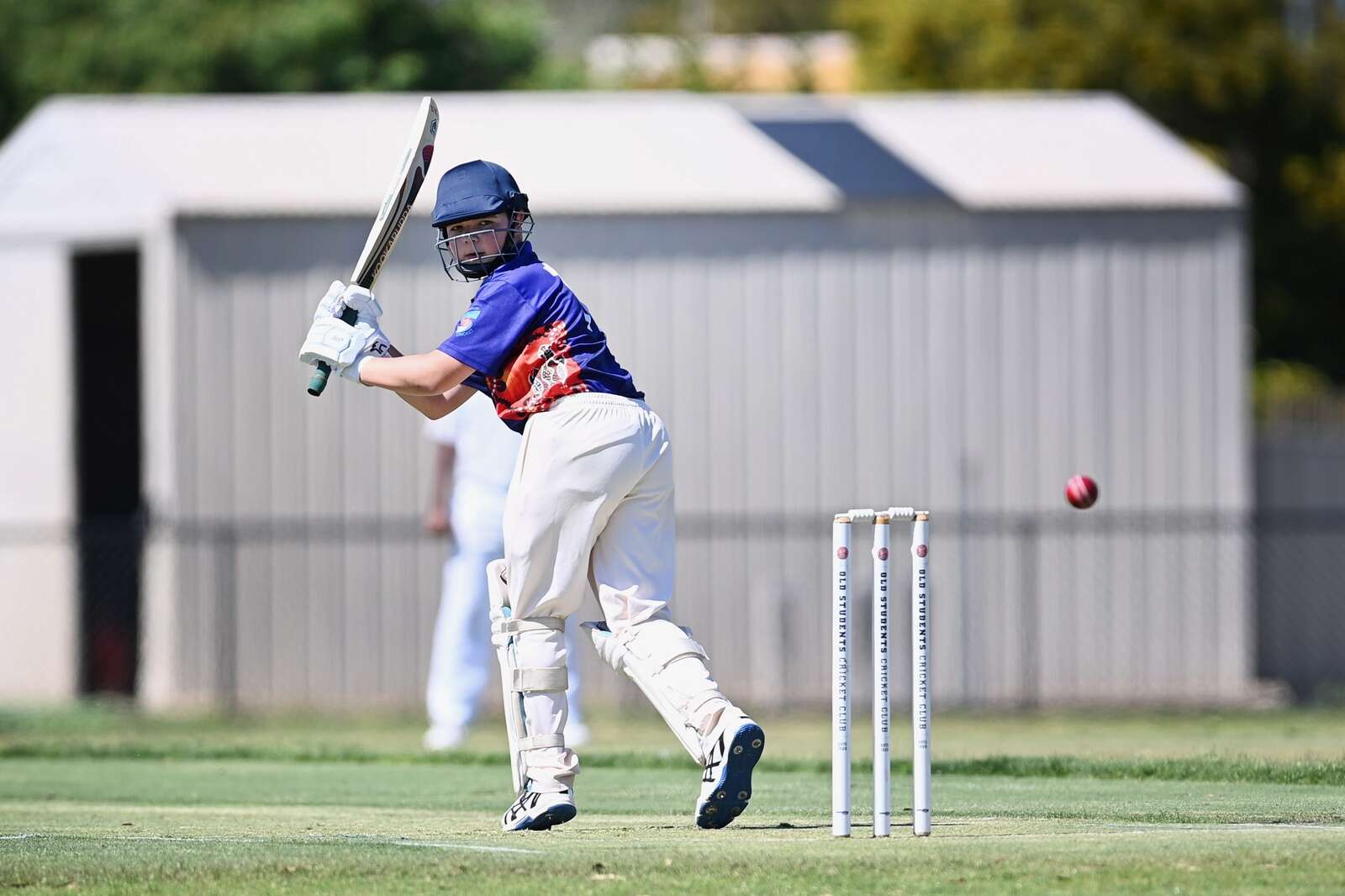 Who among the junior ranks starred for Cricket Shepparton in the first ...