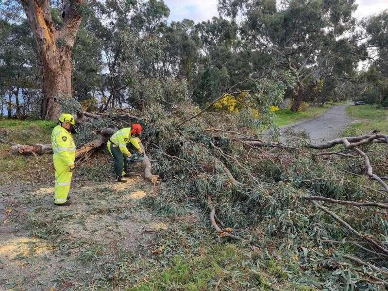 Busy week for Shepparton Search and Rescue squad | Riverine Herald