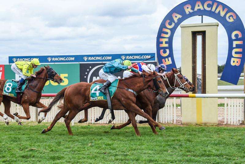 Payney's Punt | Echuca's Melbourne Cup race day preview | Shepparton News