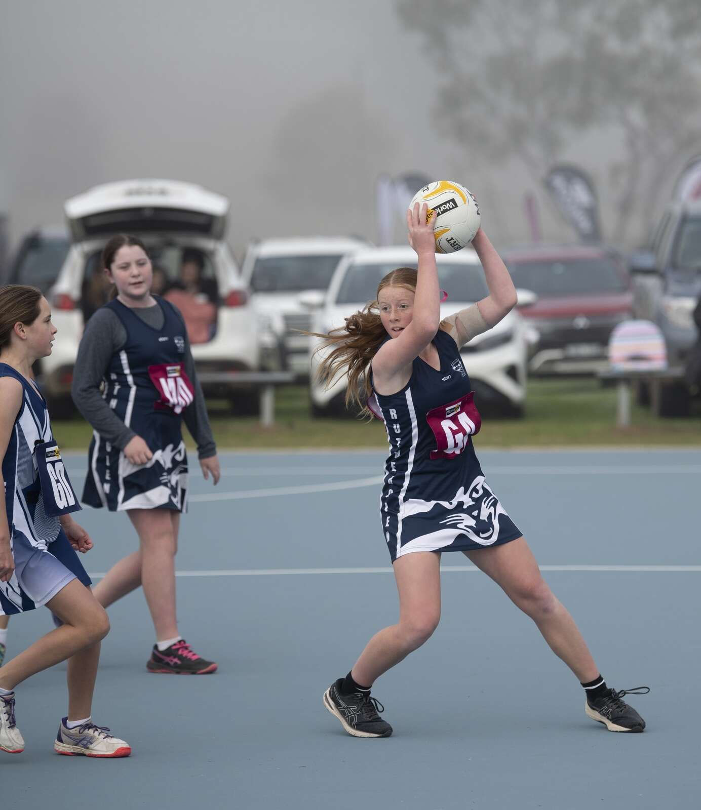 Rutherglen Cats | Shepparton News