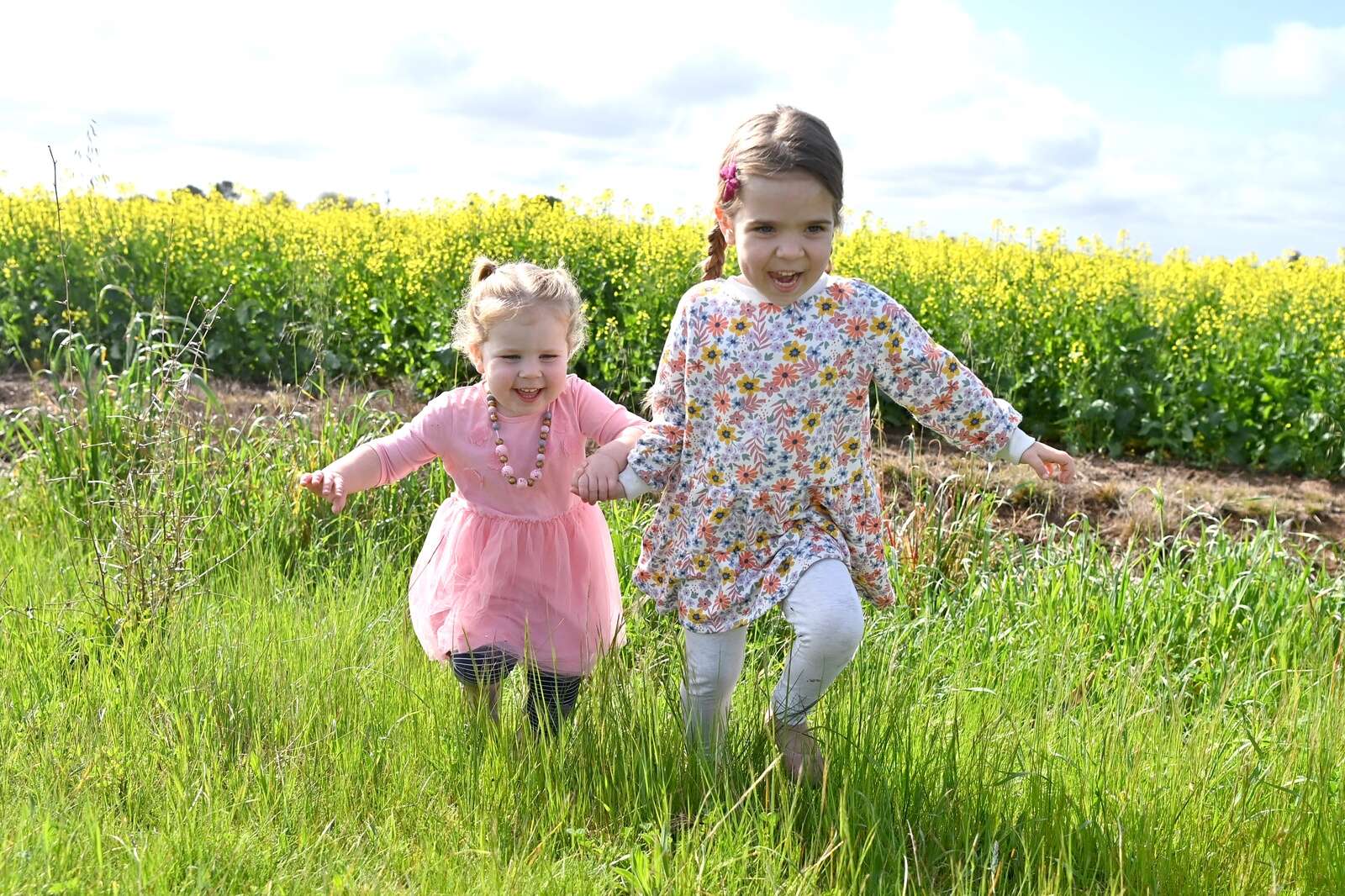 Friday weather | Shepparton forecast | Shepparton News