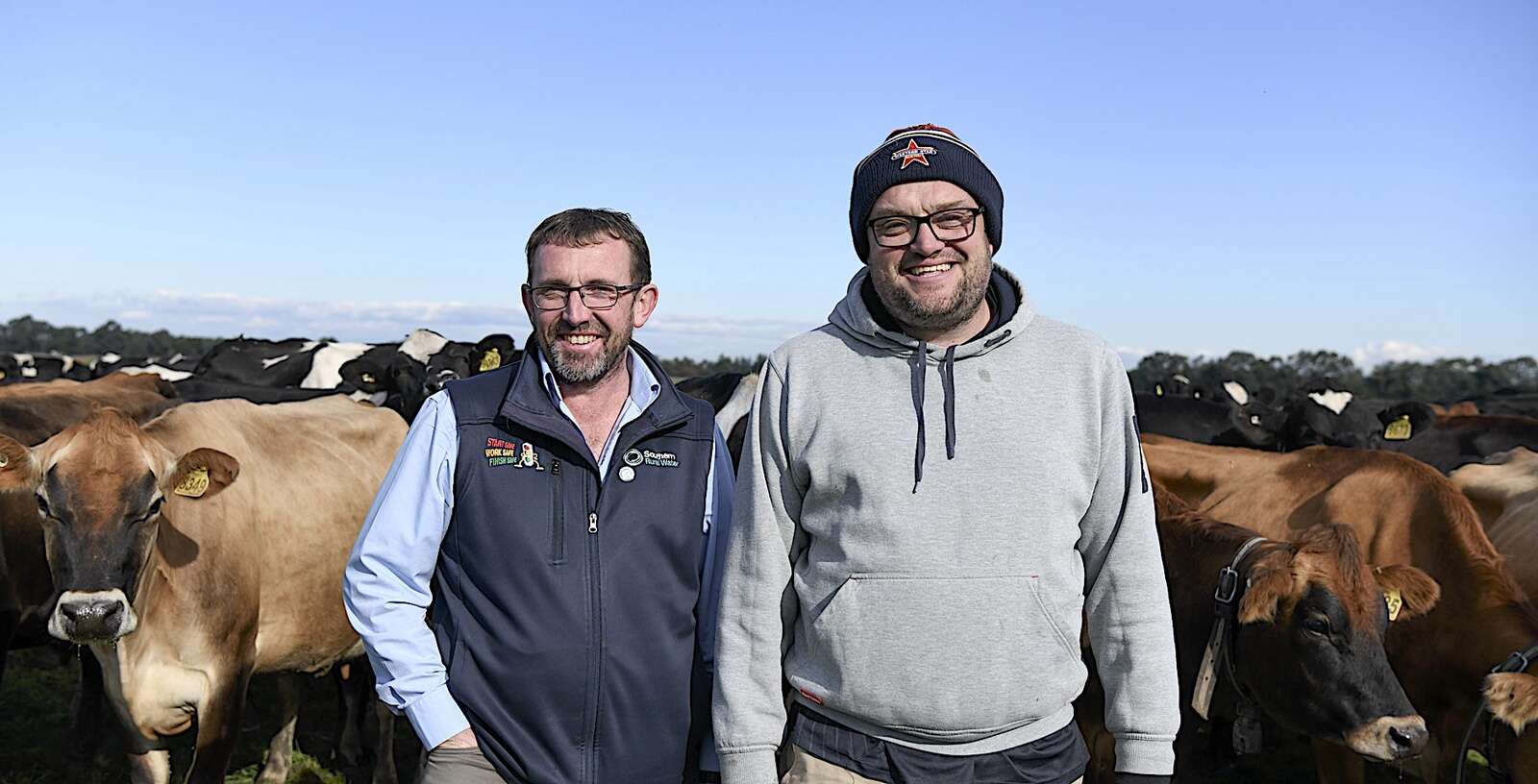 Milking a cow naming theory | Dairy News Australia