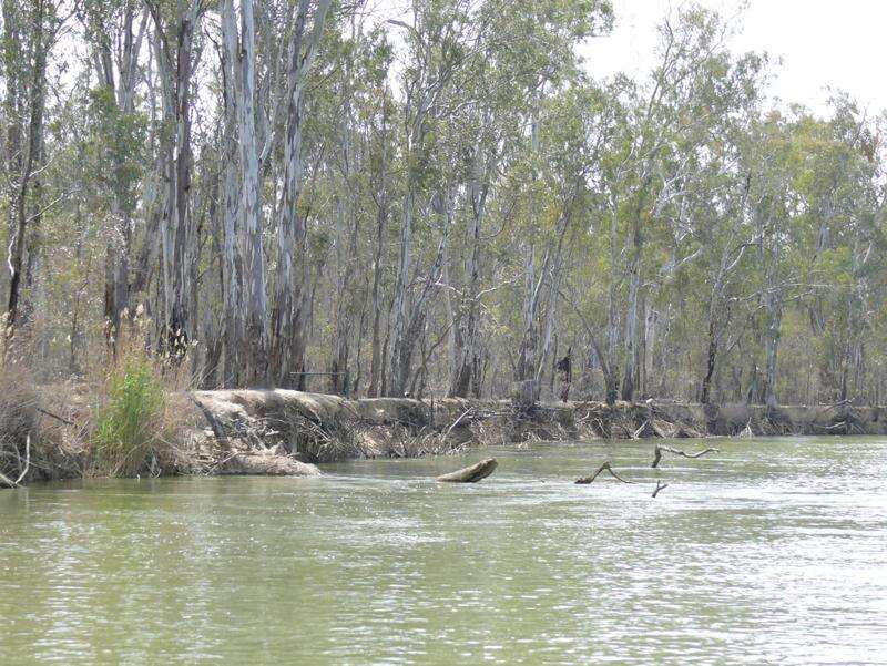 Region review sought | Country News