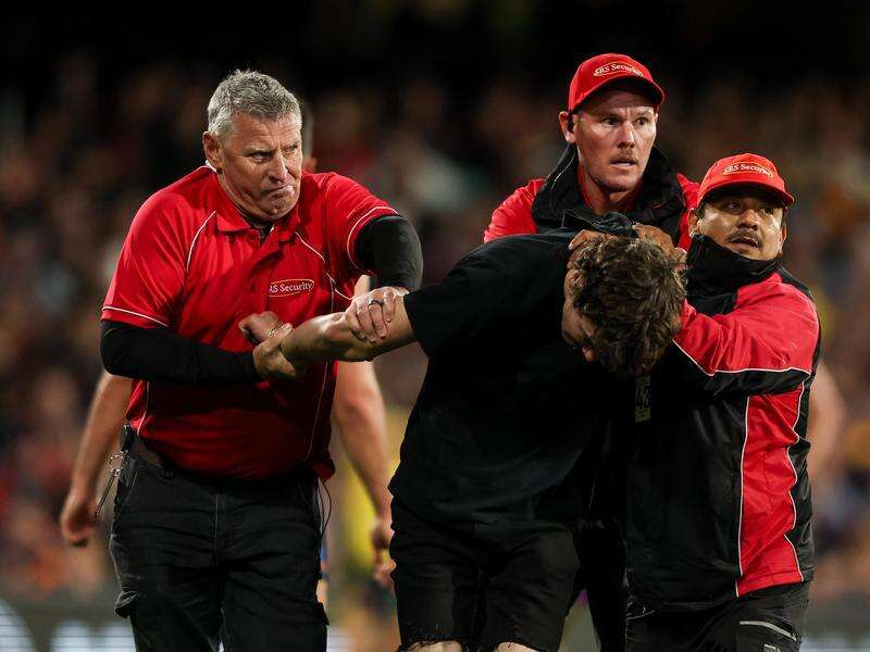 AFL coaches slam 'dangerous' Adelaide Oval invader | Country News