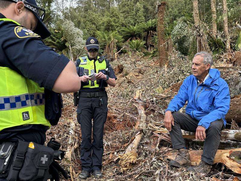 Bob Brown arrested defending giant trees from loggers | Campaspe News