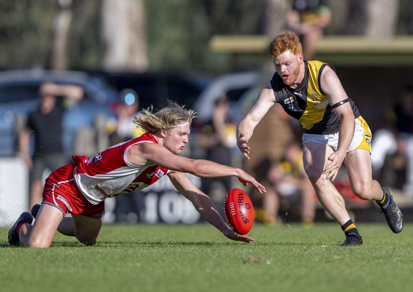 Gallery | Swans finally find joy out of a GVL thriller | Shepparton News