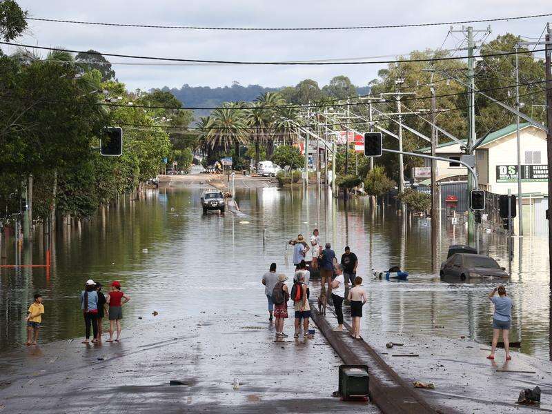 Northern Rivers floods left 'scar on my community': MP | Country News