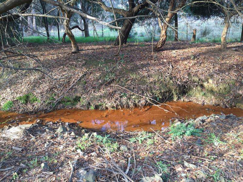 Don't be alarmed by orange sludge | Shepparton News