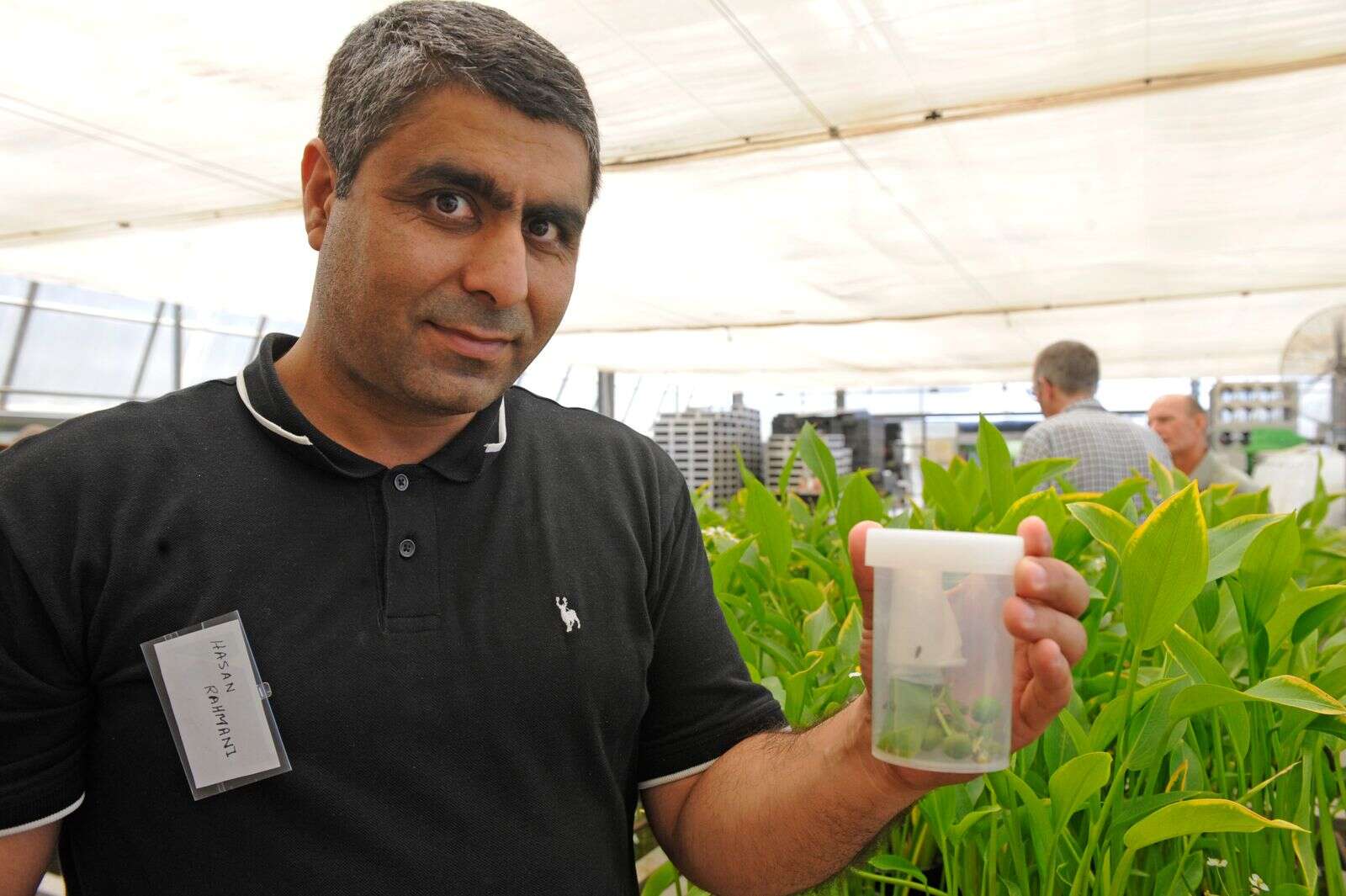 The ‘lesser of two weevils’ | Shepparton News