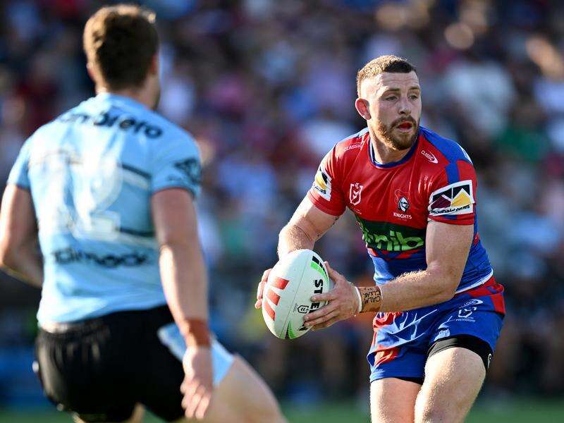 Hastings relishing Knights partnership with Ponga | Country News