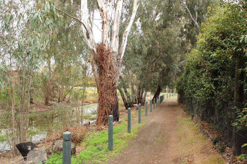 Community projects snubbed in 'long winded' vote process | Riverine Herald