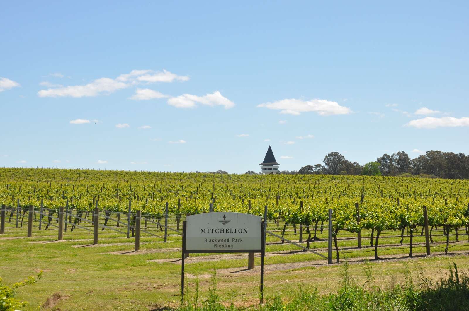 Mitchelton Winery hosts Victorian Wine Show | Riverine Herald