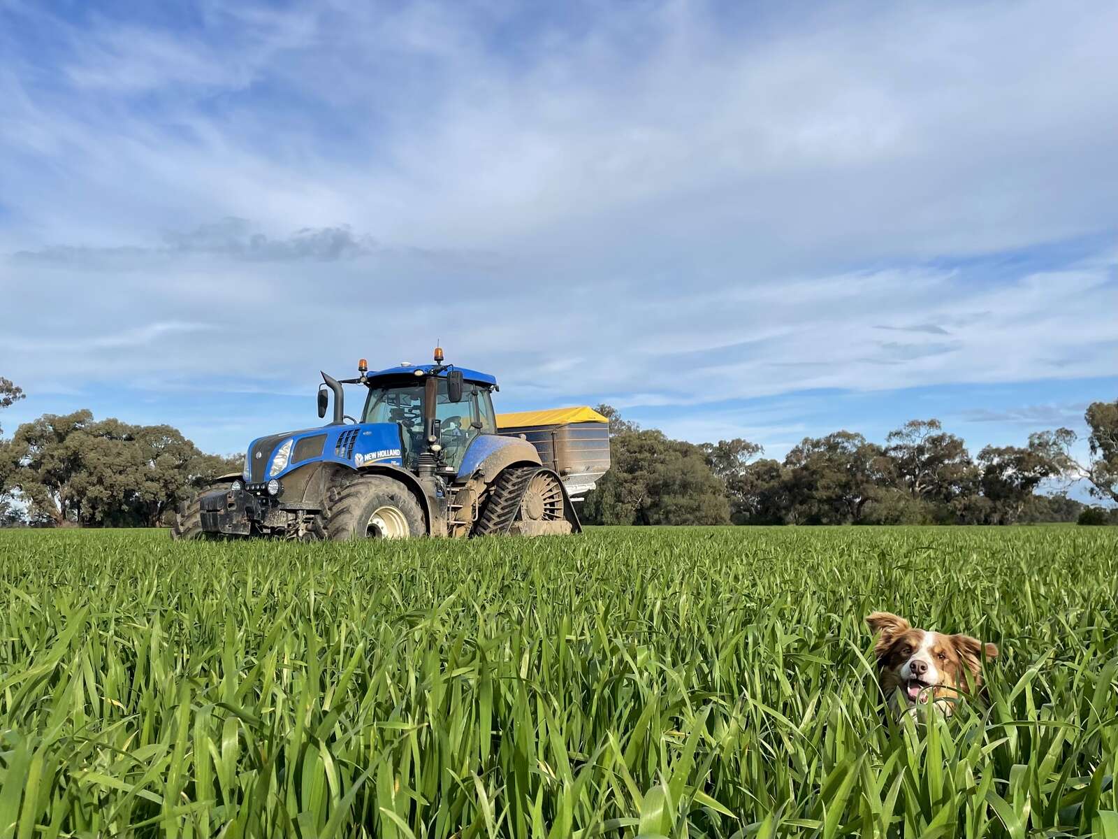 Calendar competition returns | Dairy News Australia