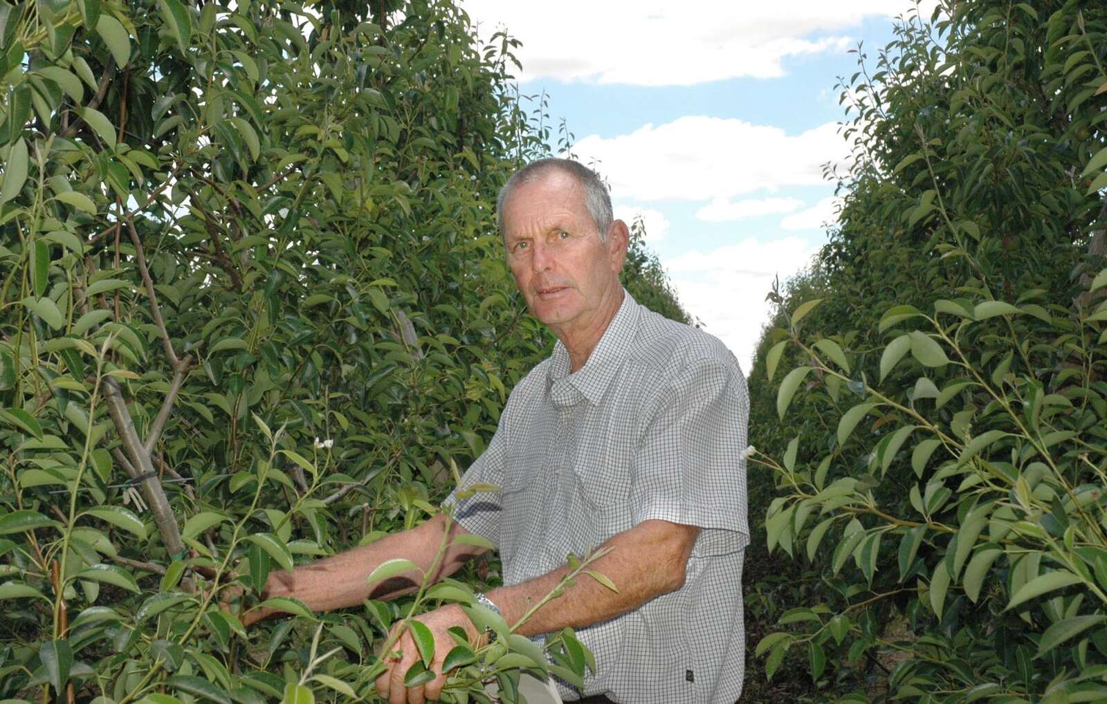 Revolutionary Tatura Trellis Is 50 Years Young Country News