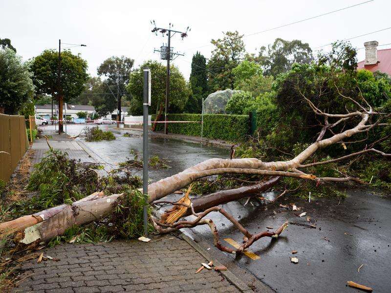 Power outages continue in SA after storms | Country News