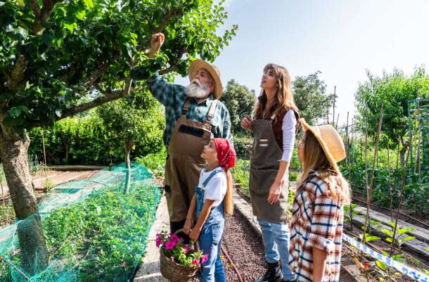 How to prepare a hobby farm for summer in Australia | Dairy News Australia