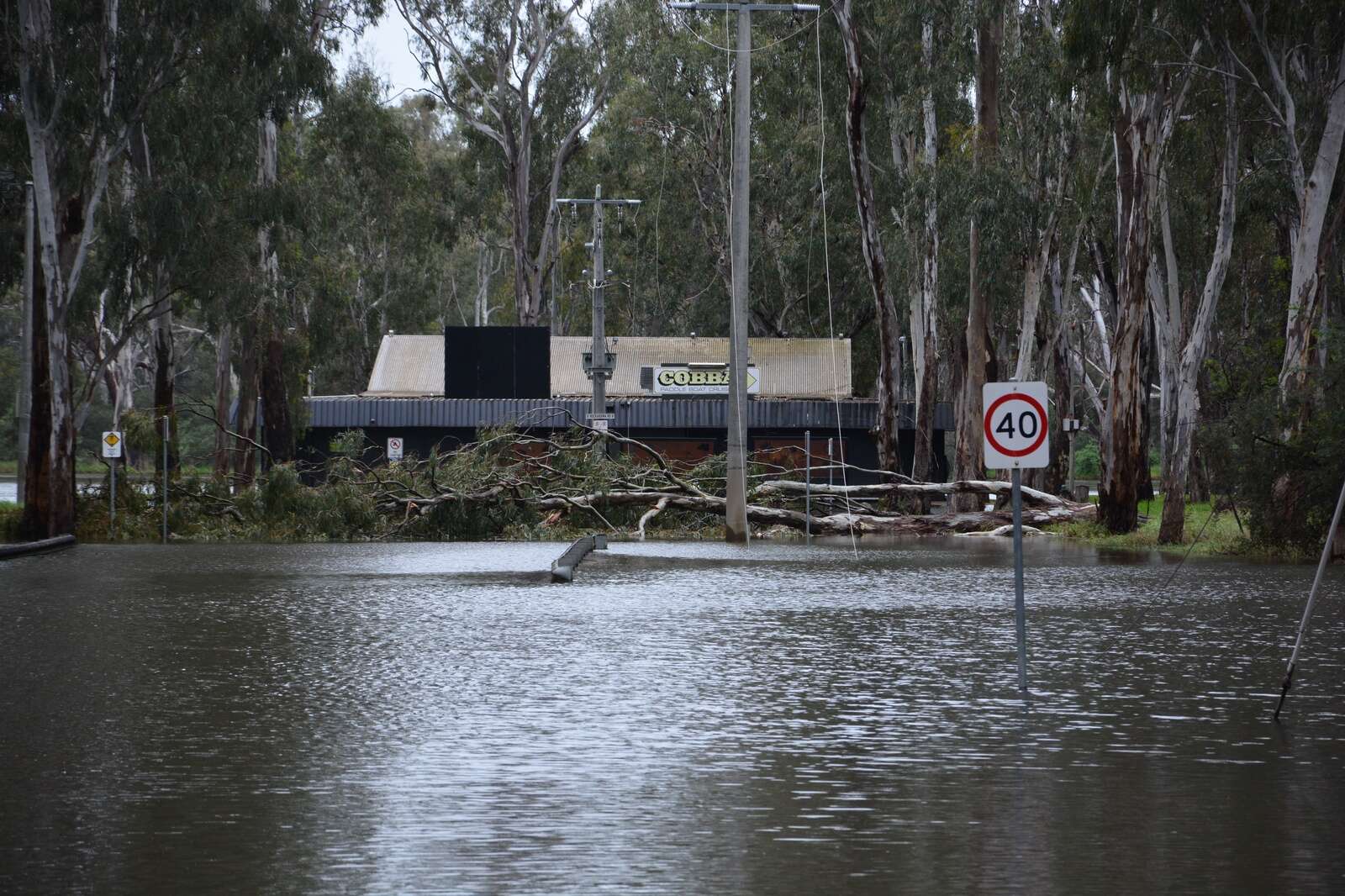 Moira Shire Council to mark anniversary of October 2022 floods ...