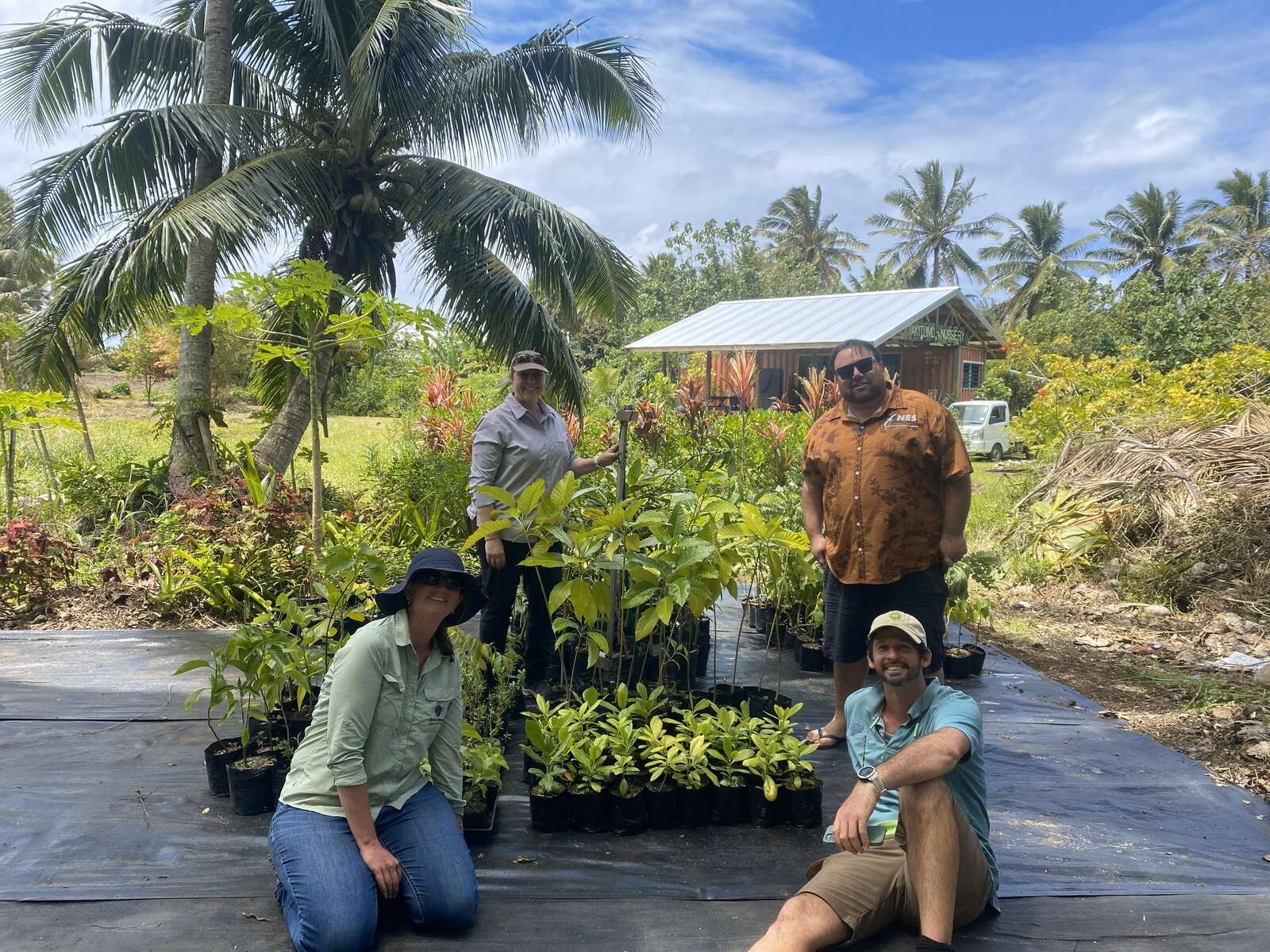 Tiny forests sow seeds of big impact | Riverine Herald