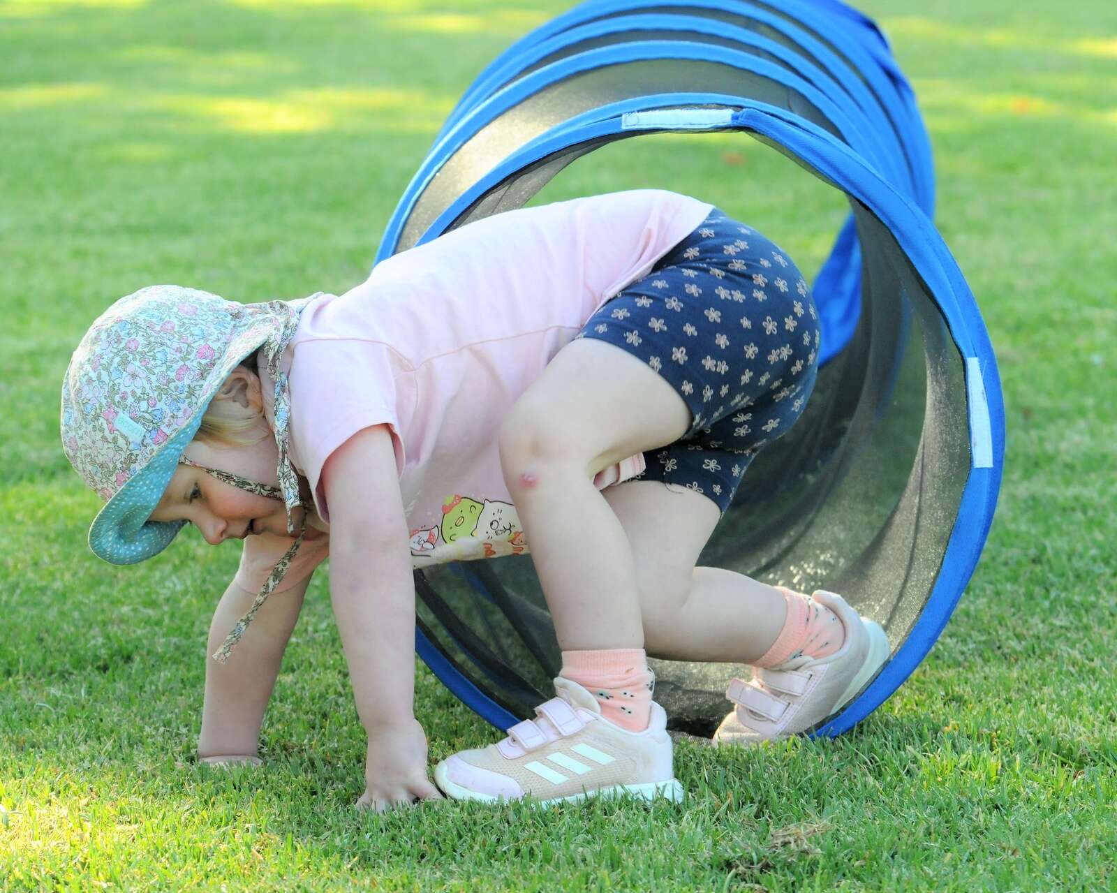 Campaspe parks come to life | Riverine Herald