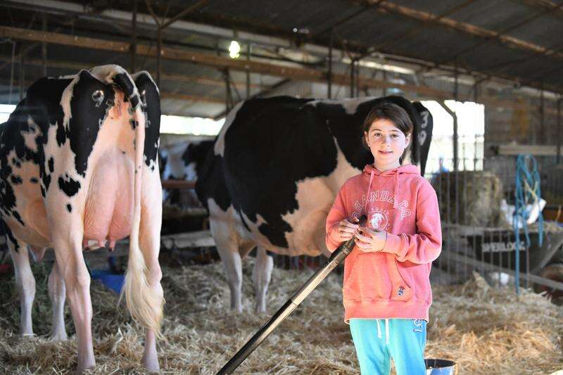 Free community contribution document | Shepparton News