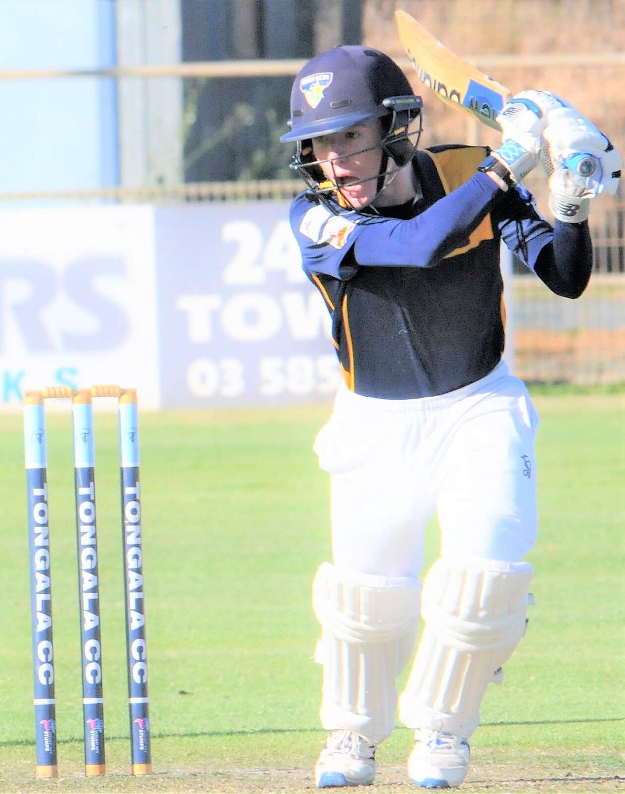 Rochester junior cricketers finals bound | Shepparton News
