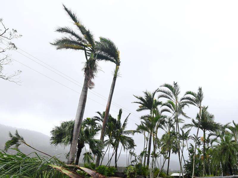 Tropical Cyclone Megan rain, winds hit NT coast | Shepparton News