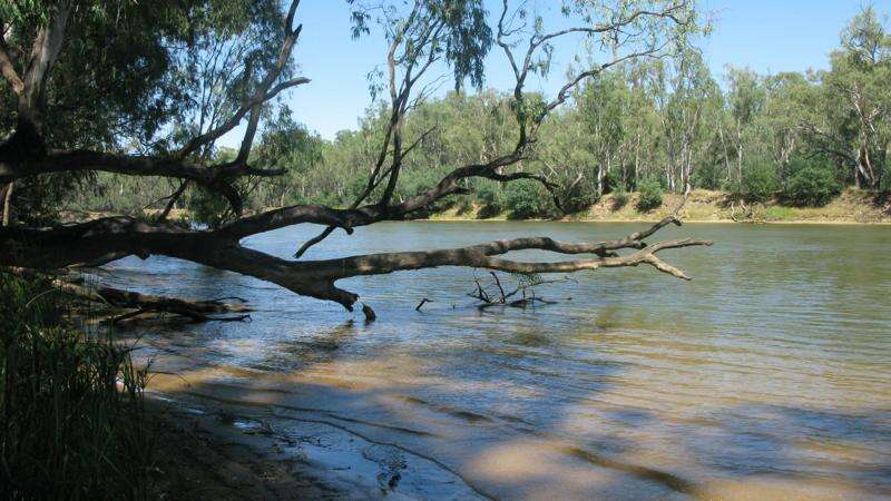 Murray Lower Darling water sharing plan "extremely disappointing ...