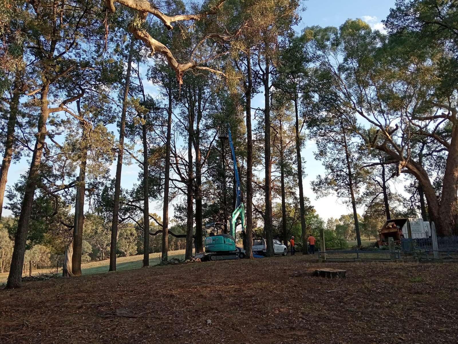 Historic cemetery gets a careful makeover | Corowa Free Press