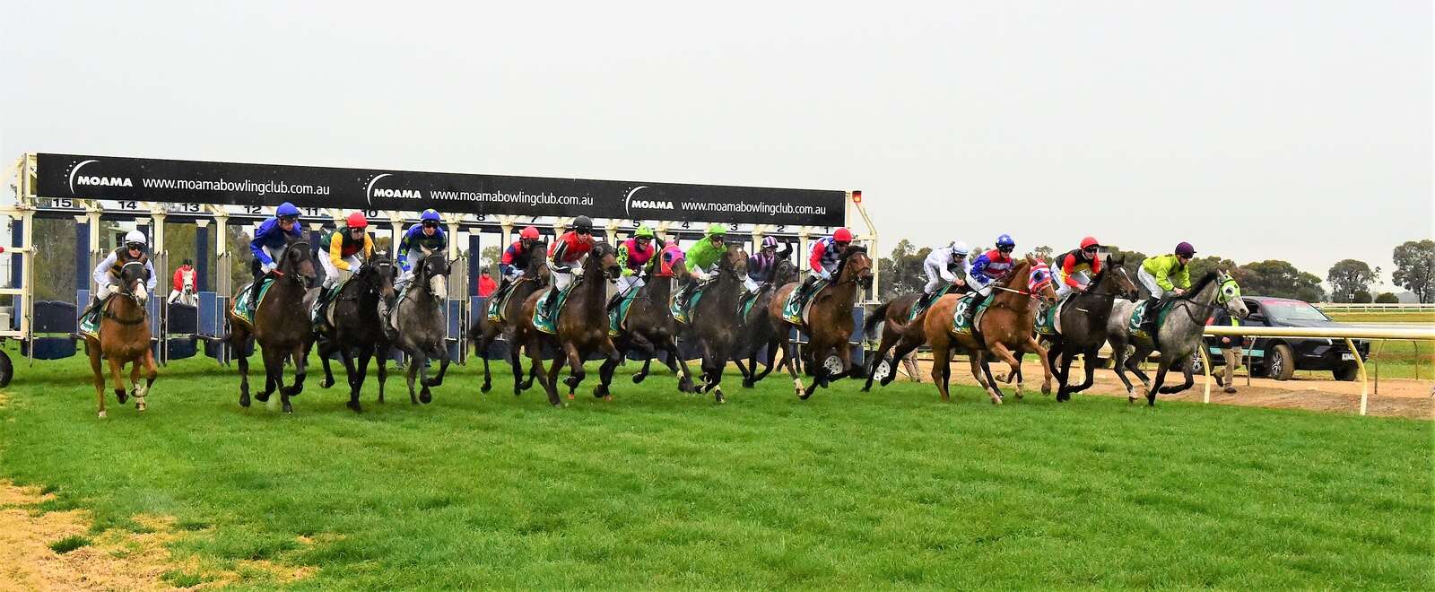 New Year’s Eve off and racing | Country News