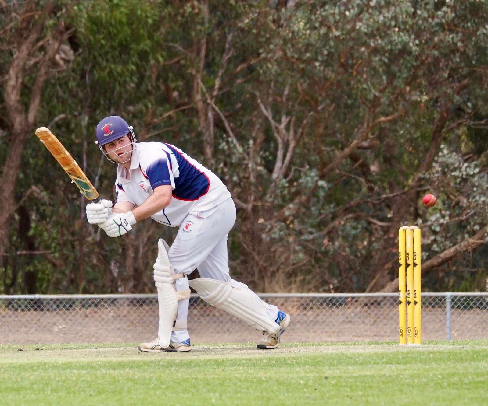 Tallarook Cricket Club appoints new president | Seymour Telegraph