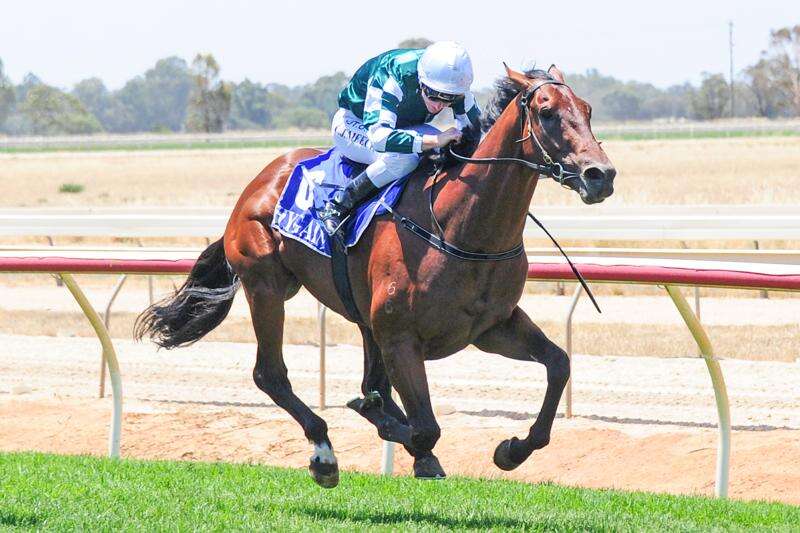 Bushfires push races to Echuca | Riverine Herald