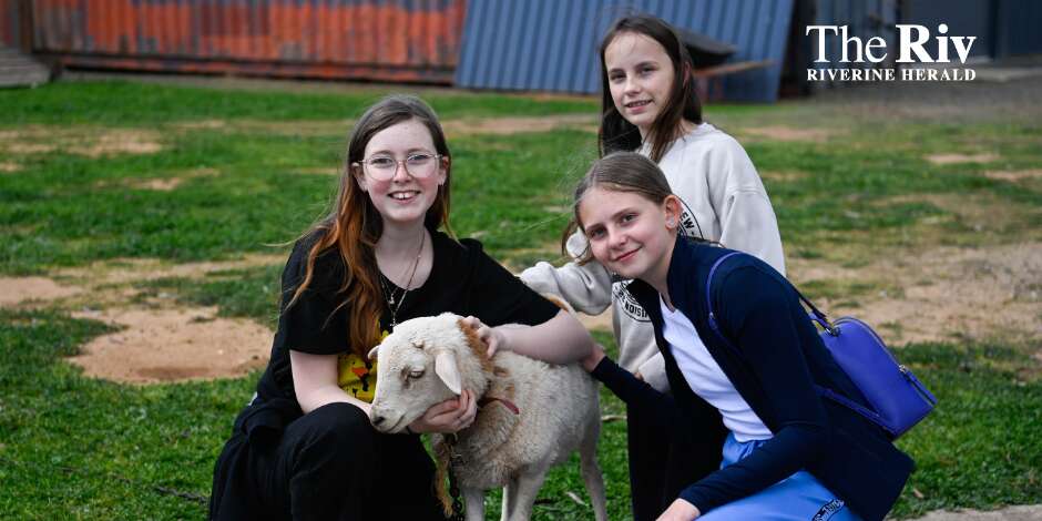 Wellbeing takes centre stage | Shepparton News