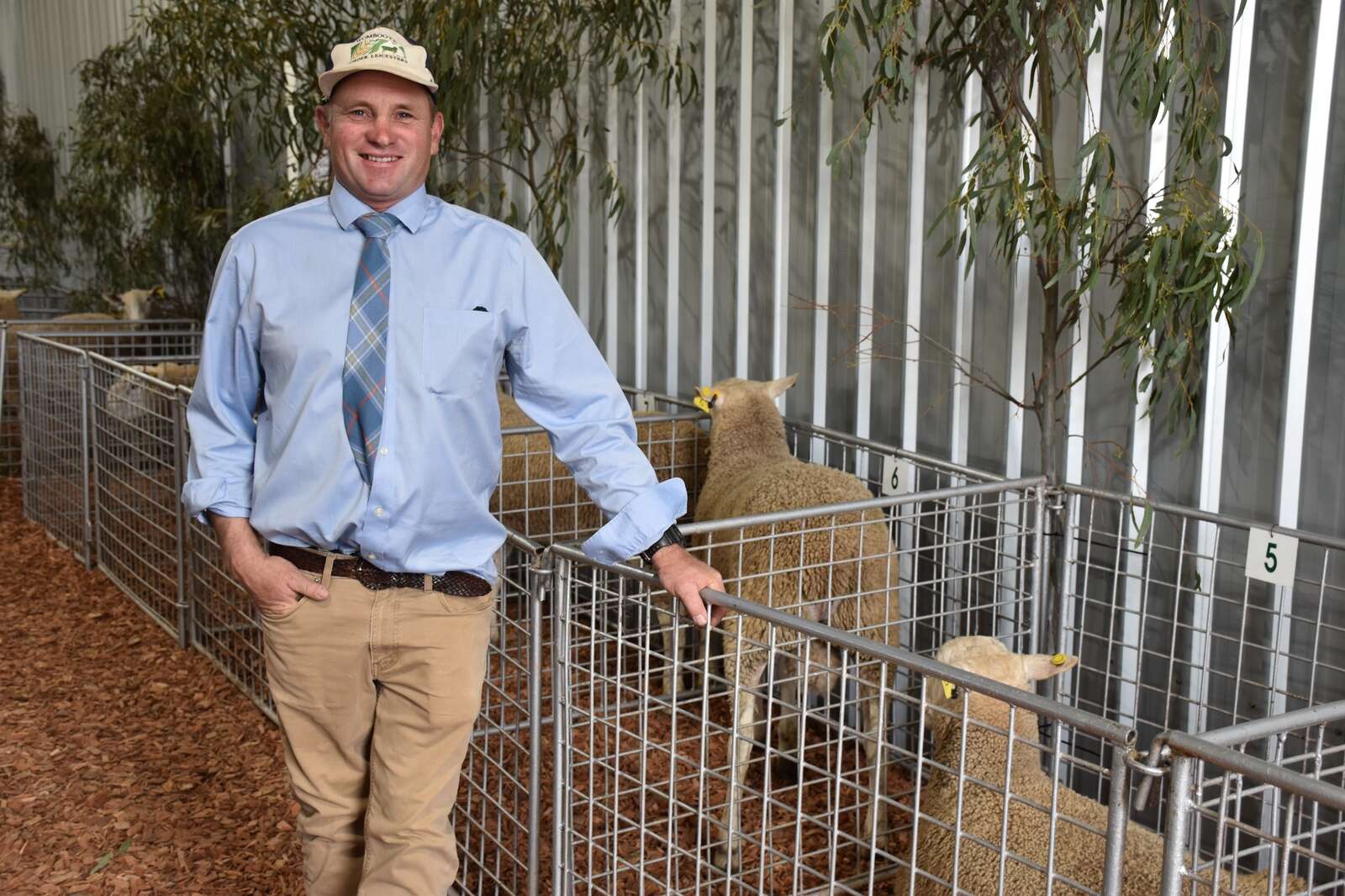 Striving for excellence | Country News