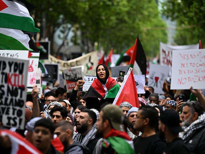 Large crowds expected at latest pro-Palestine protest | Dairy News ...